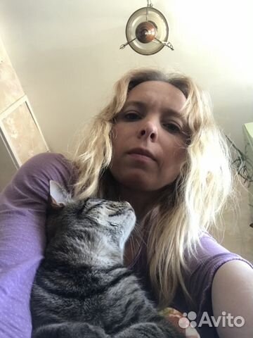 Котик