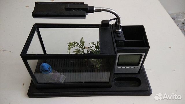 Миниаквариум с подсветкой, фильтром, компрессором