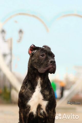 Самый лучший ребенок для лучших родителей