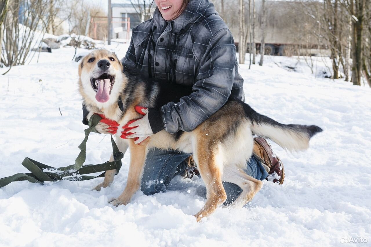 Трогательный ребёнок Арчик