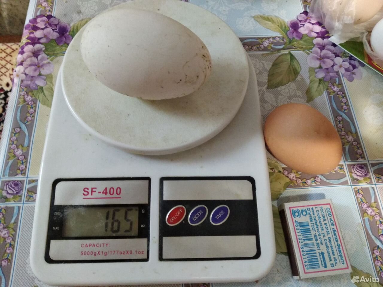 Яйцо для инкубации гусиное,утиное,куриное