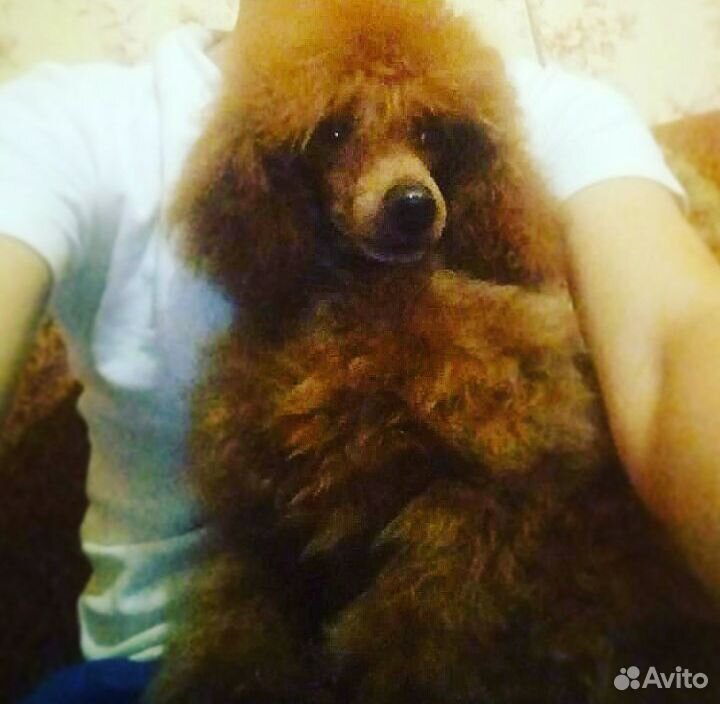 Приходите на вязку