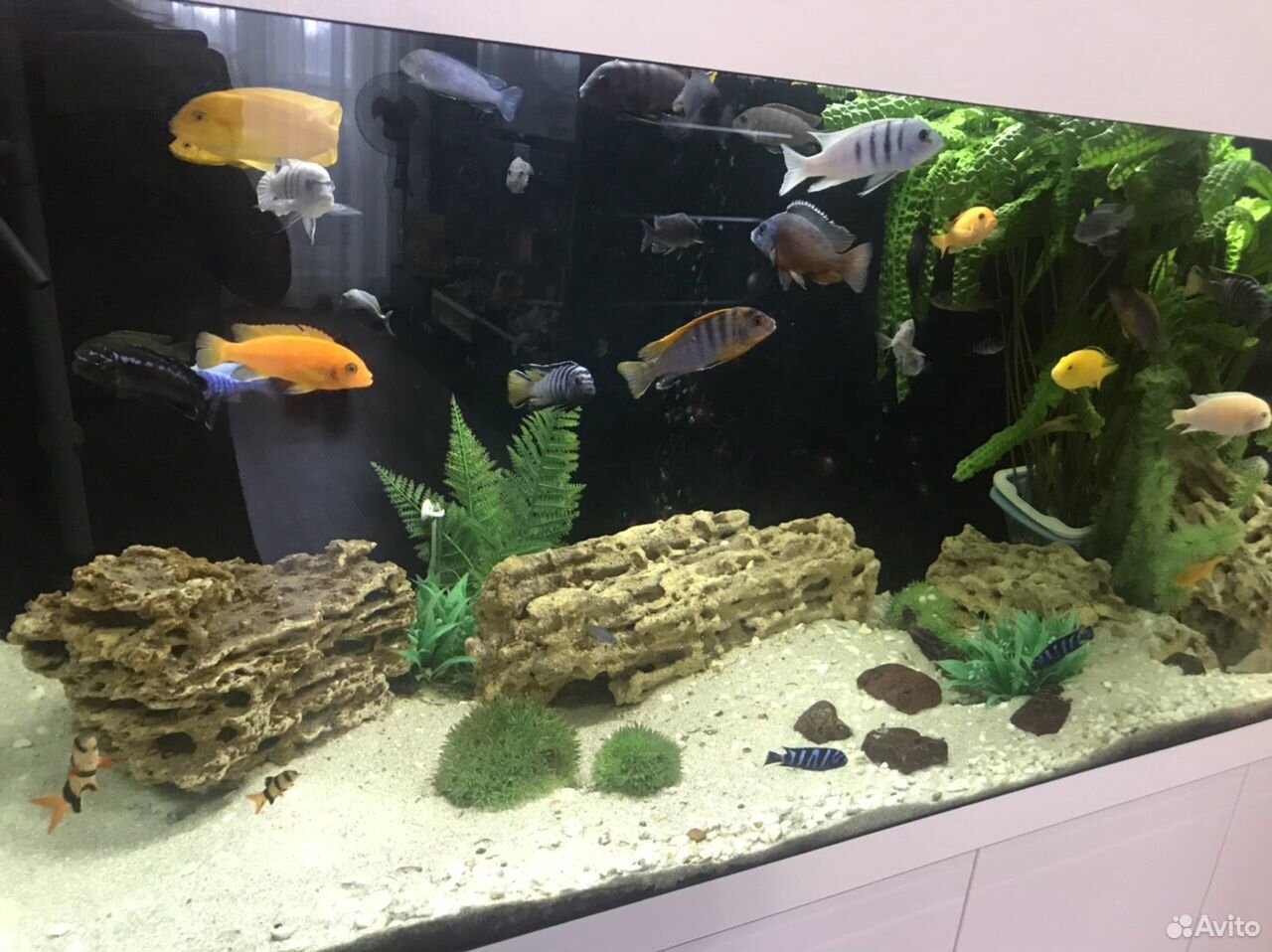Аквариум 540 л в комплекте со всем