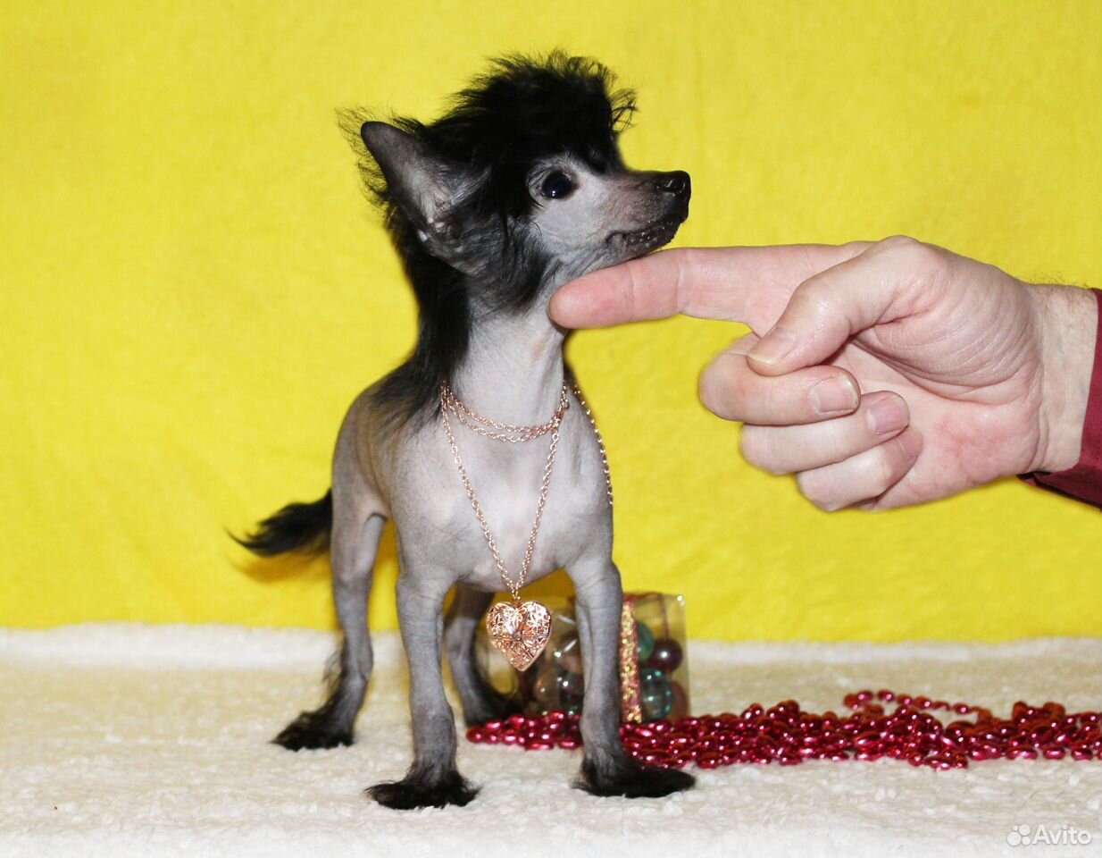 Маленькая, истинно голая девочка,видео