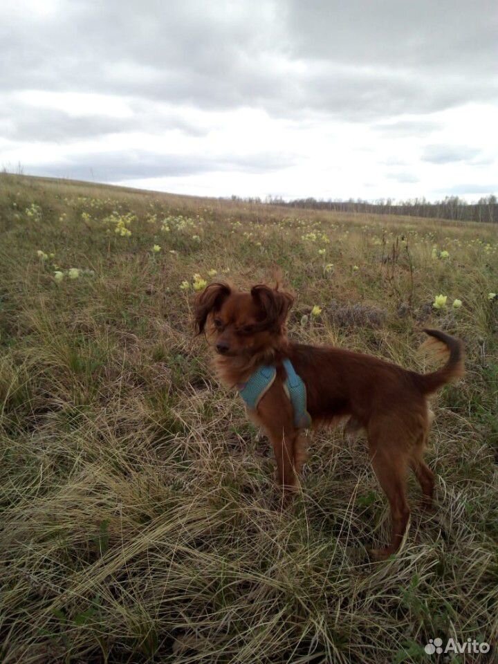 Брутальный мальчишка