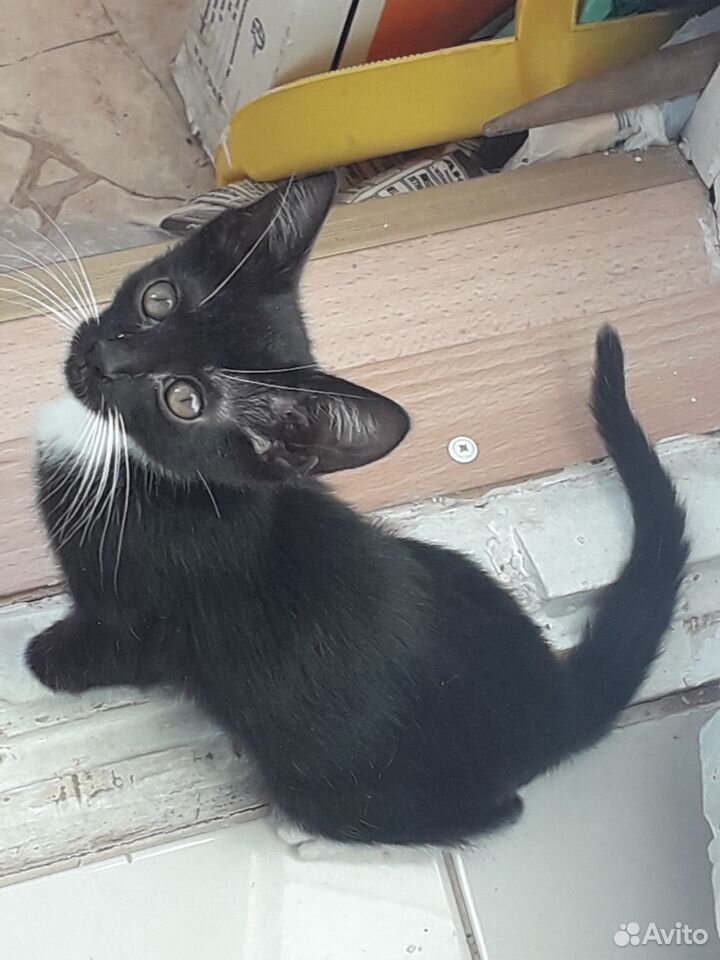 Маргоша,2,5 мес