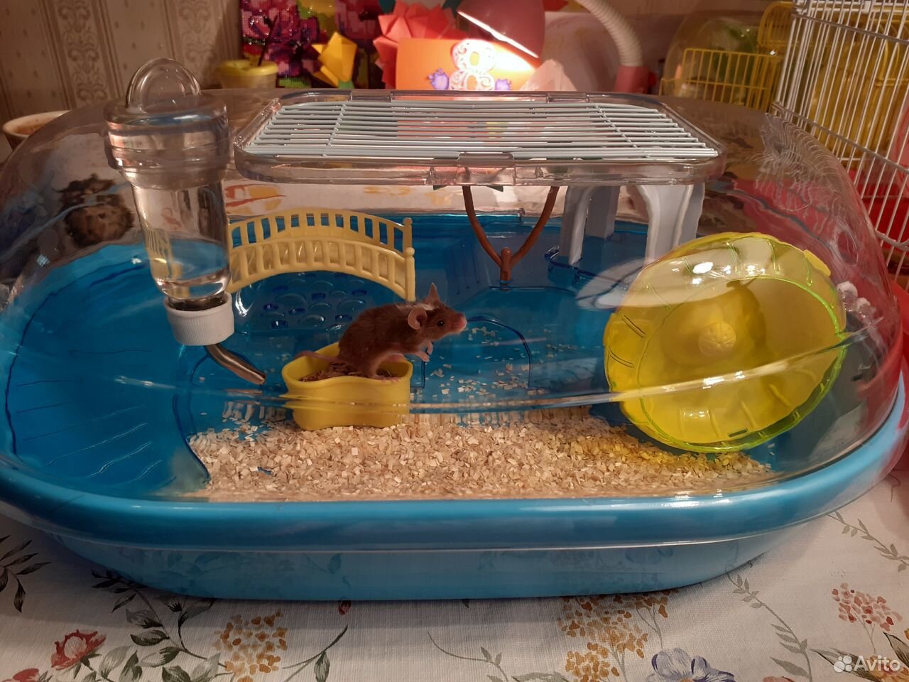 Декоративные мышки