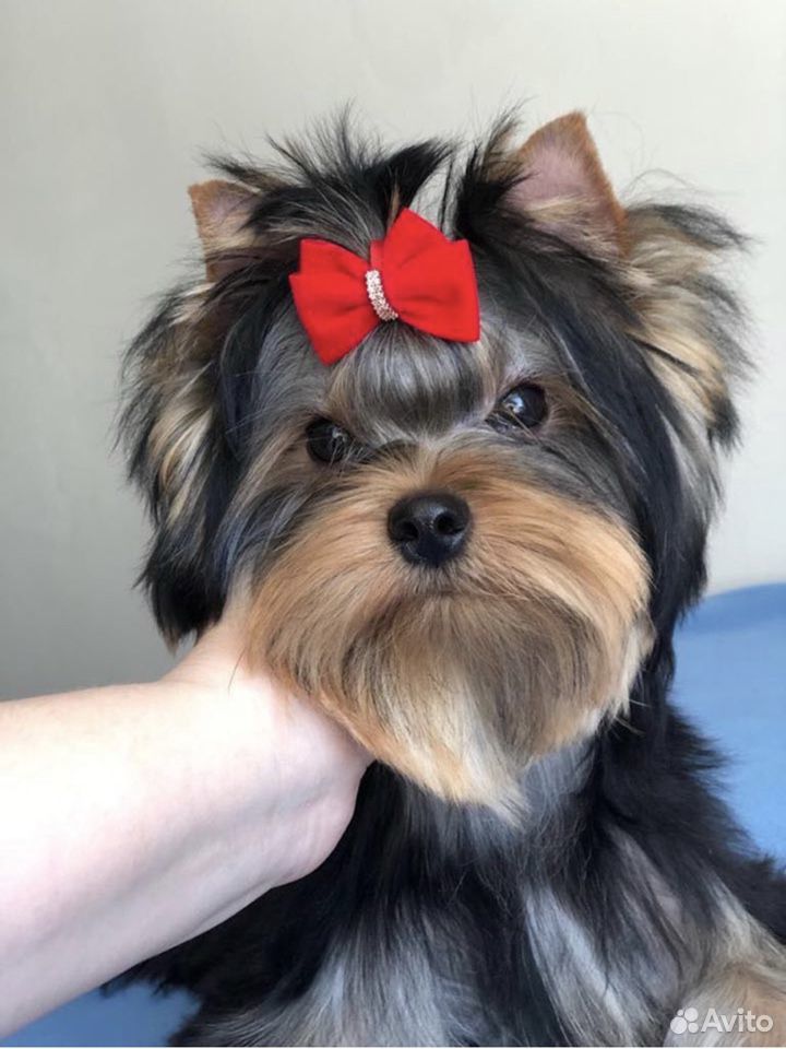 Мальчик подросток