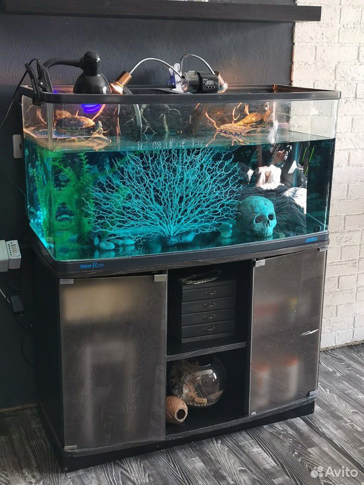 Аквариум-черепашник