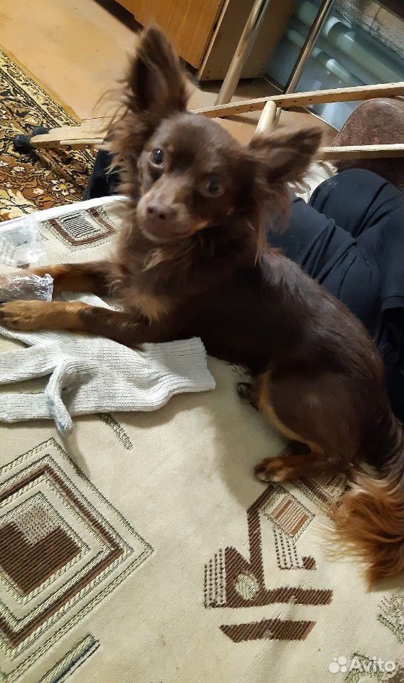 Мальчик тойчик