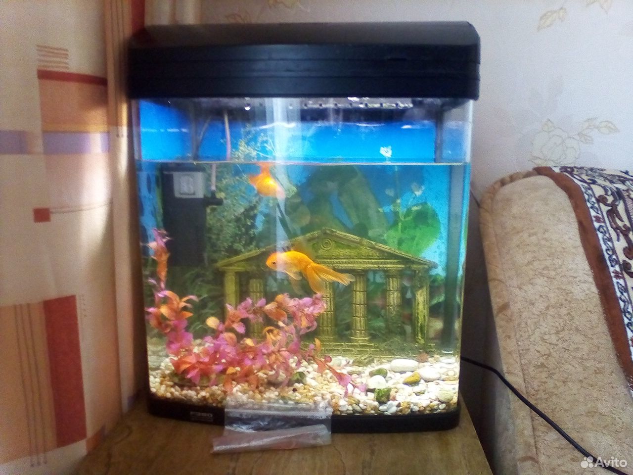 Аквариум с рыбками