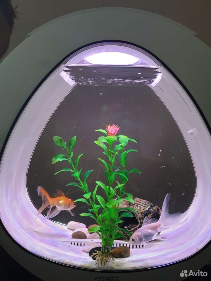 Мини аквариум 13л, с подсветкой