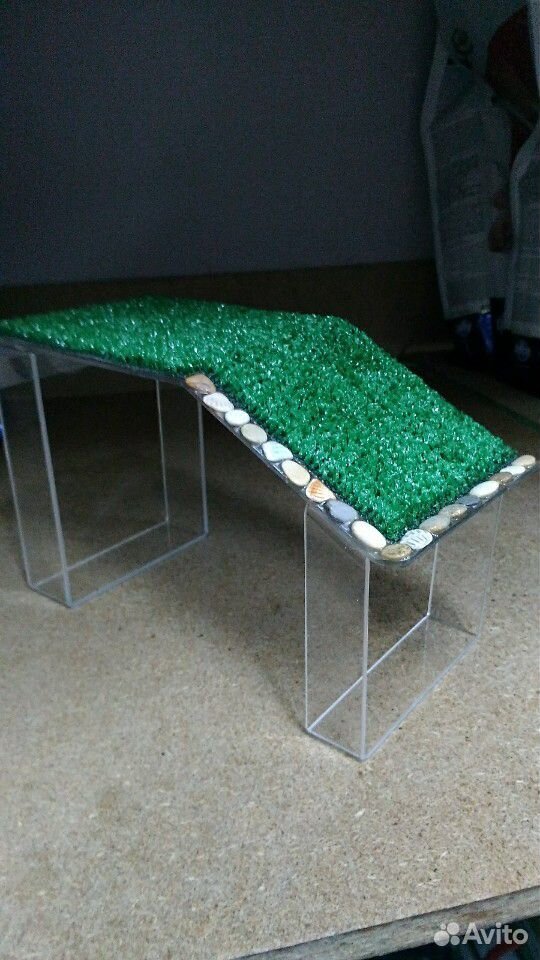 Мостик суша остров для черепахи