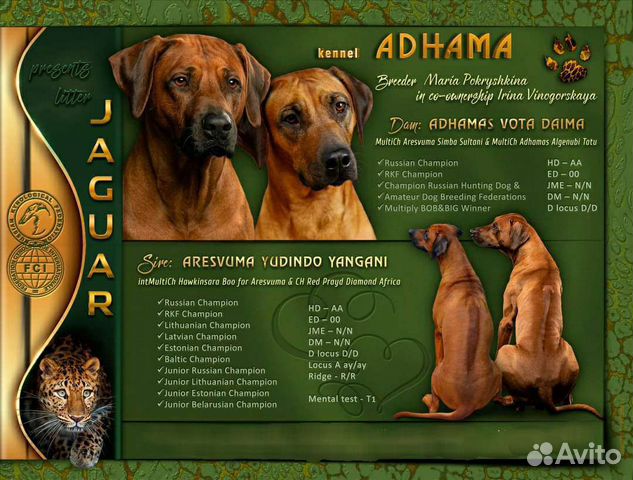 В питомнике Адхама 10.04.2021г родились щенки