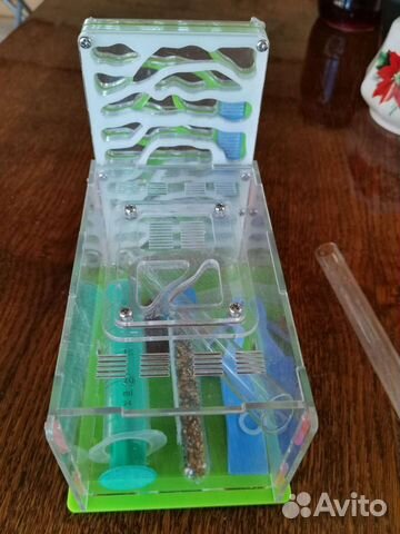 Фармикарий, дом для муравьёв