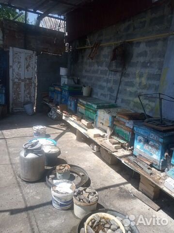 Пчелы пчело пакеты карника бакфаст