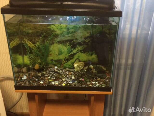 Аквариум 100 литров