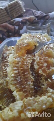 Продам пчелосемьи