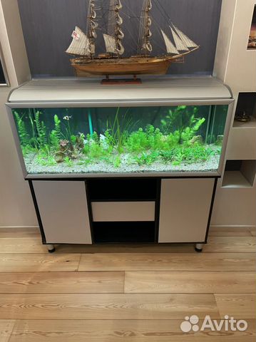 Аквариум