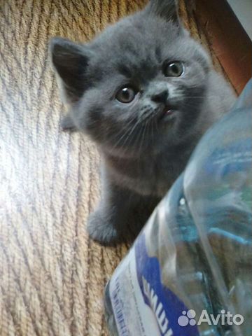 Экзотическая