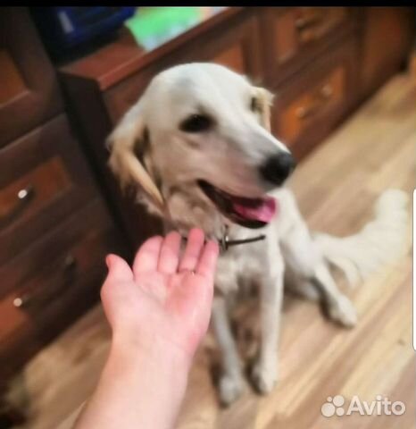 Подростки ищут дом