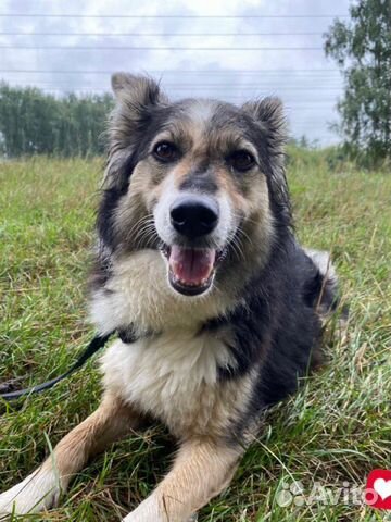 Заберите домой принцессу Монику