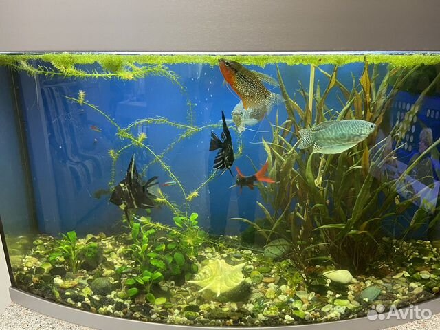Продам аквариум 130 л