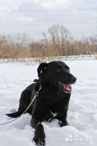 Герда ищет семью