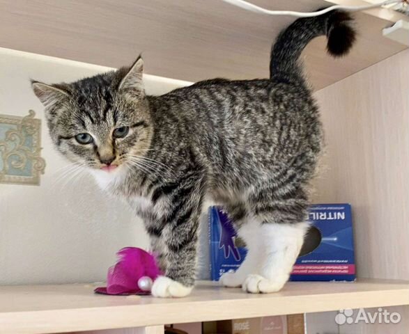 Европейская