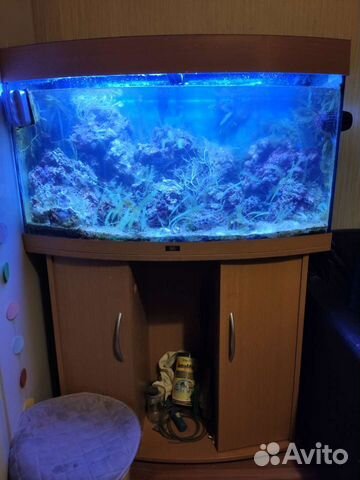 Морской аквариум, живые камни