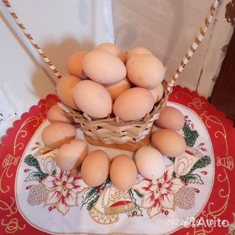 Птица- индоутки; яйца домашние куриные