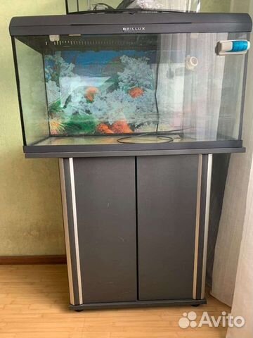Аквариум