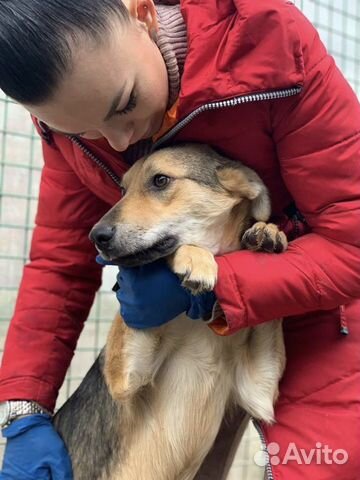 Лилу осталась одна, в добрые руки