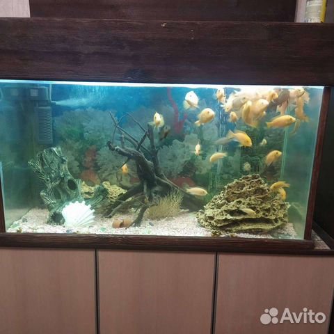 Аквариум