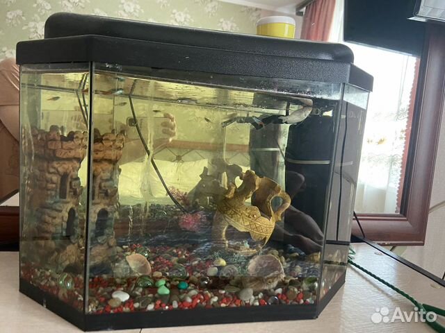 Аквариум для рыбок 35-40л
