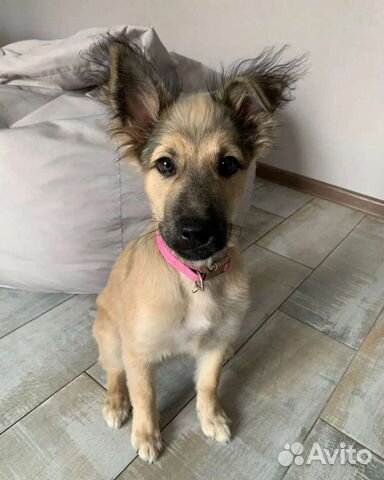 Мальчик 4 мес