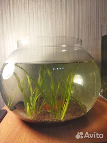 Аквариум 11 л