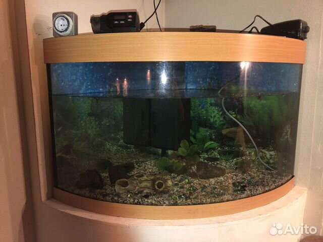 Аквариум