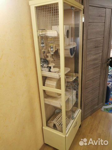 Шиншилы с клеткой