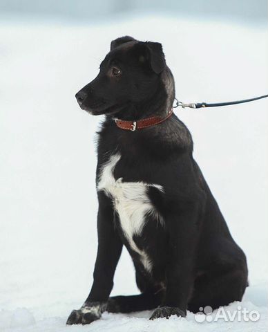 Мишенька в приюте. Заберите мальчика домой