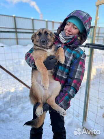 Щенок умрет в приюте