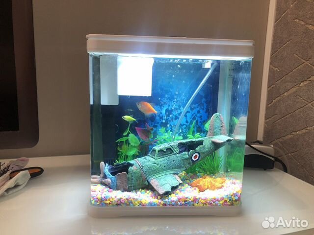 Аквариум 8 л + сетевой фильтр,компрессор,декорации