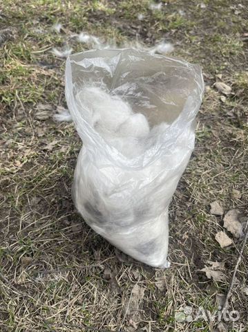 Собачья шерсть