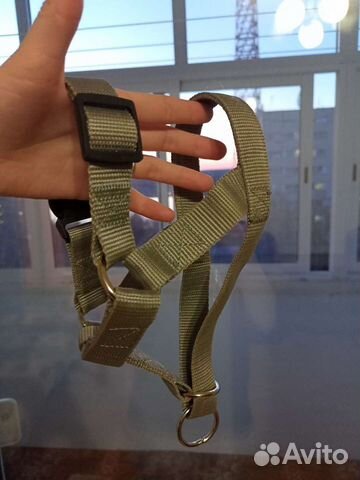 Халти на крупную собаку