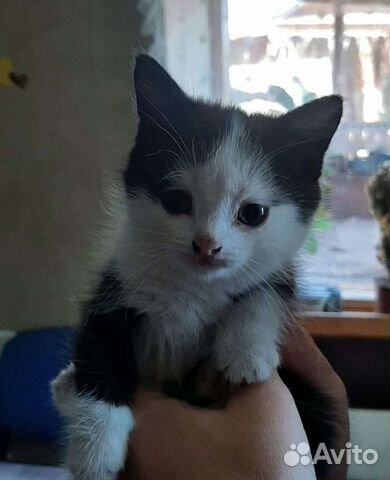 Малышка девочка 1 мес