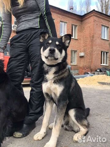 Гром ищет дом