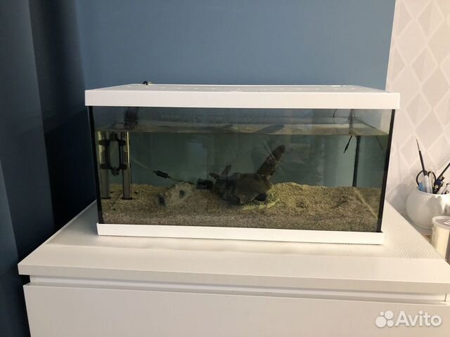 Аквариум Eheim