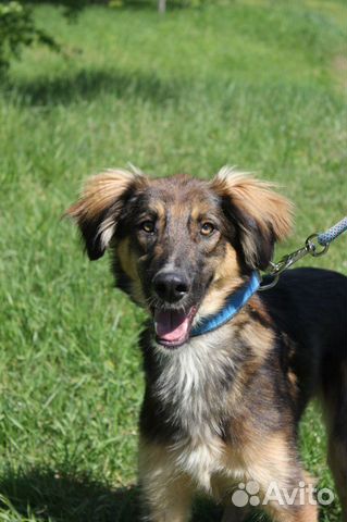 Красавец Хасан пропадет за решеткой