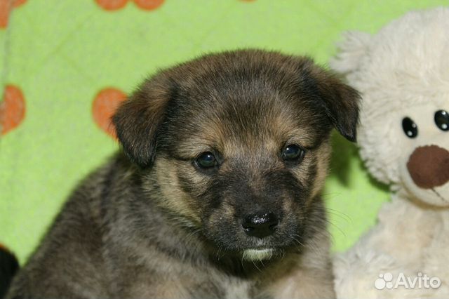 Жду родителей очень жду