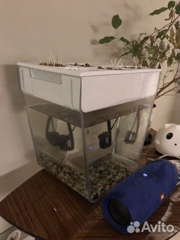 Акваферма Aquafarm